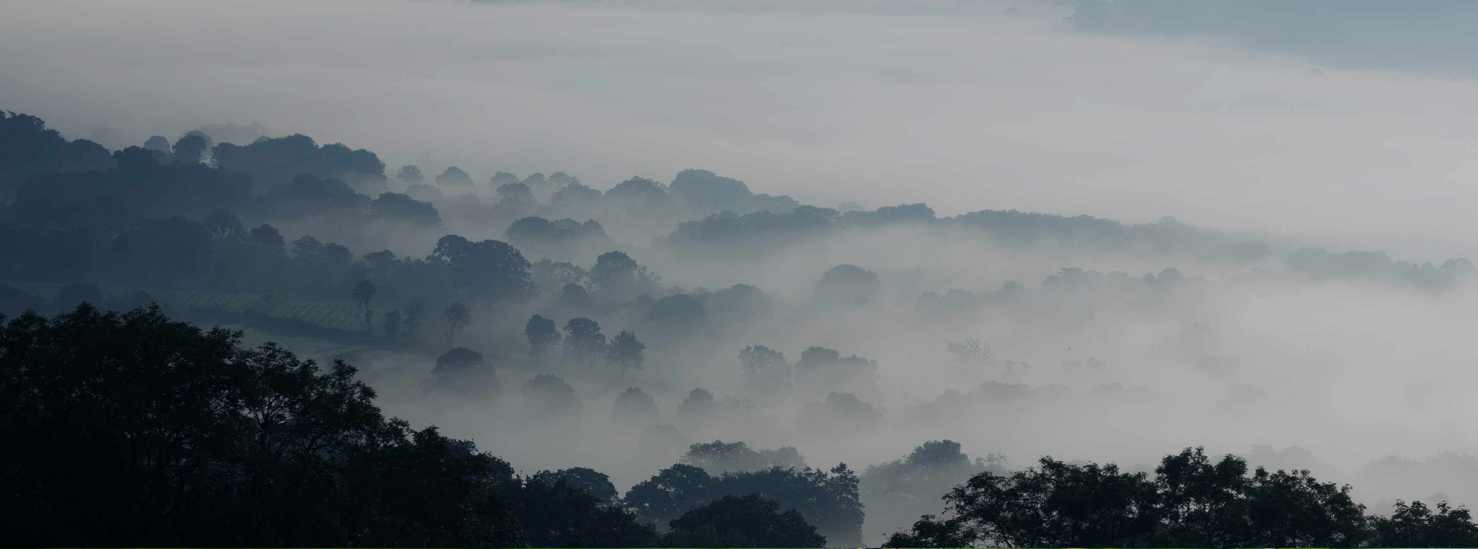 Landscape - Blackdown Hills National Landscape