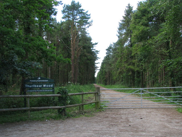 Thurlbear Wood, Blackdown Hills AONB, Somerset Wildlife Trust nature ...