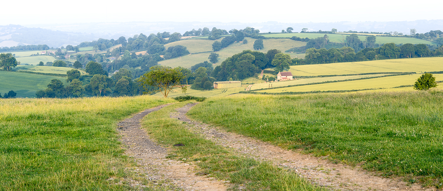 Homepage - Blackdown Hills AONB