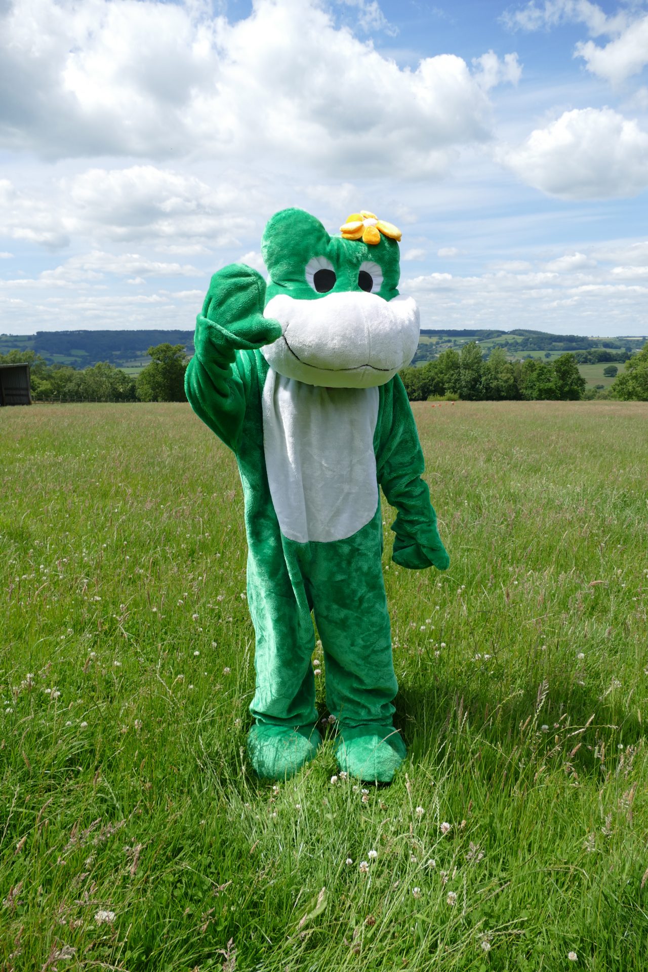 May celebration at Ferne Animal Sanctuary - Blackdown Hills National ...
