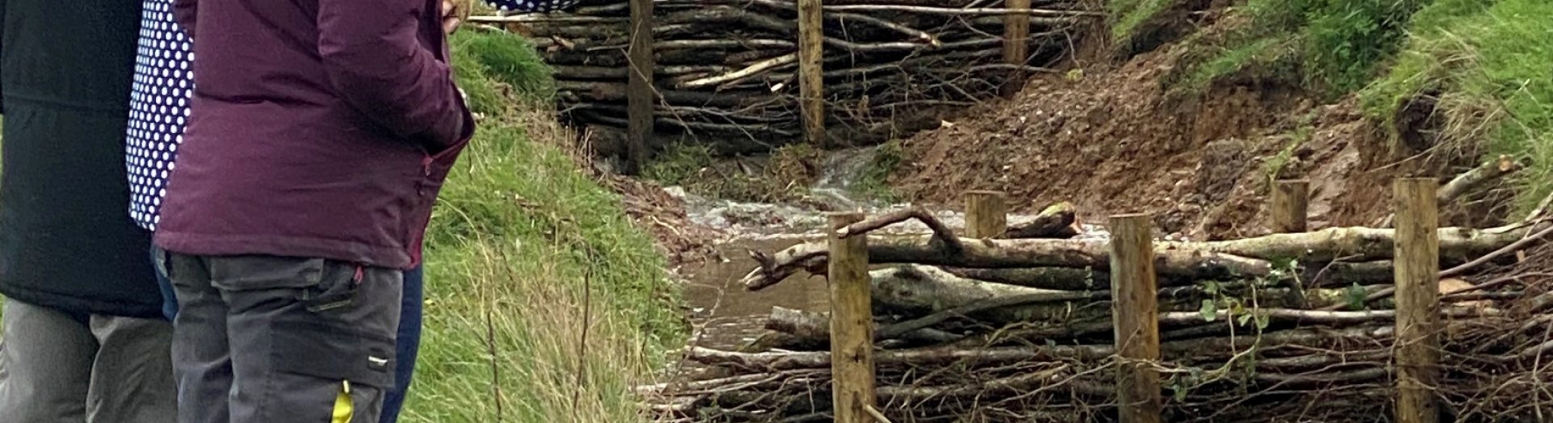 Rivers Run Through Us - new River Axe nature recovery project ...