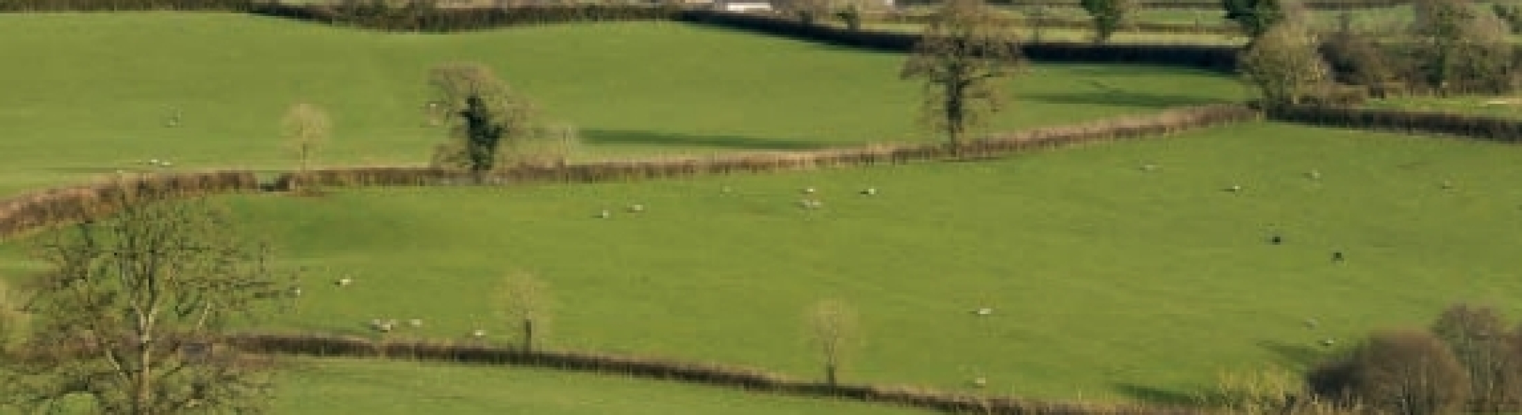 intro-to-managing-the-blackdown-hills - Blackdown Hills National Landscape