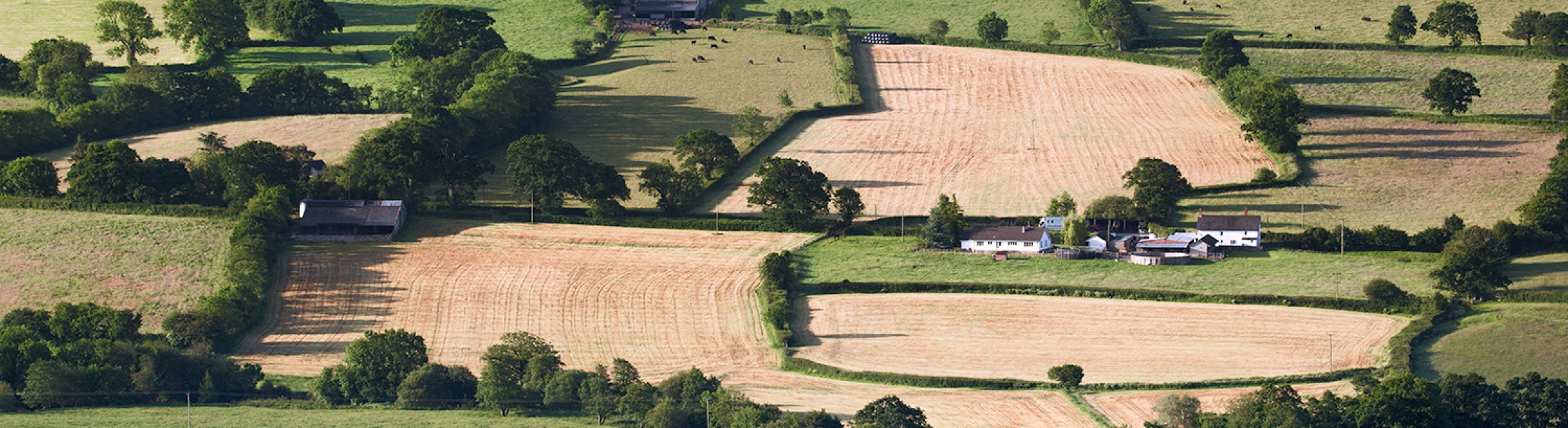 Exploring our boundaries - Blackdown Hills National Landscape