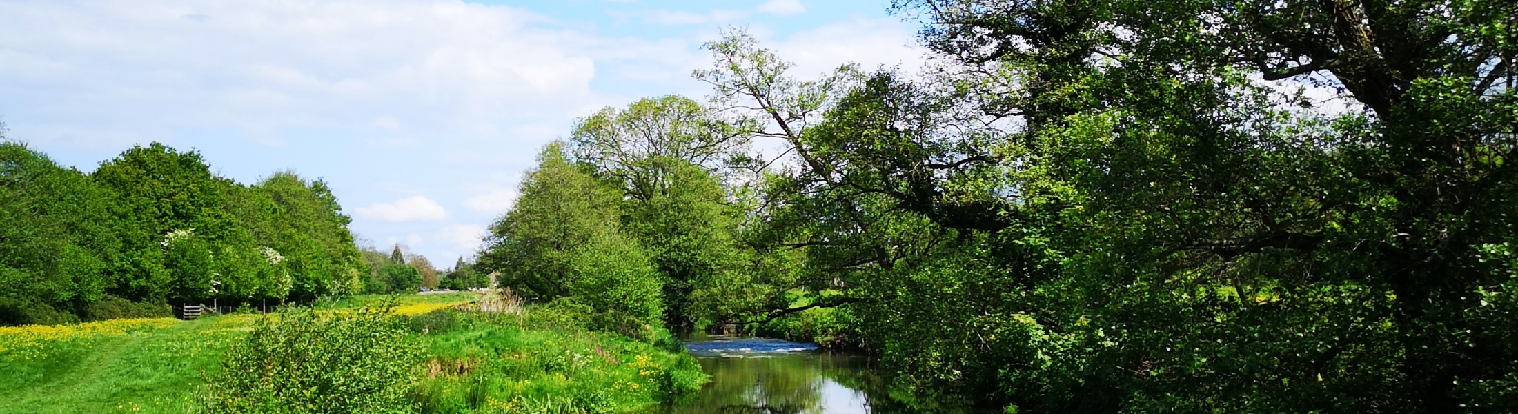 New £1m project – Connecting the Culm - Blackdown Hills National Landscape
