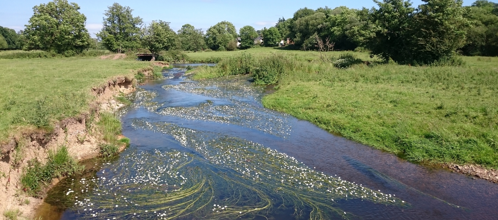 Connecting the Culm Archives - Blackdown Hills National Landscape