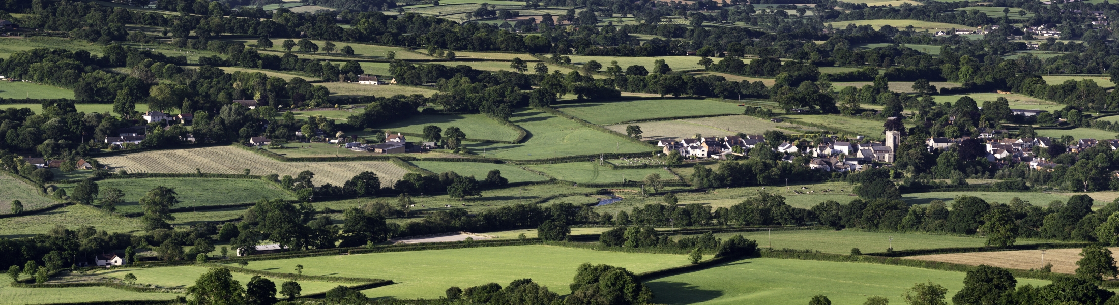 View of from culmstock beacon - Blackdown Hills National Landscape